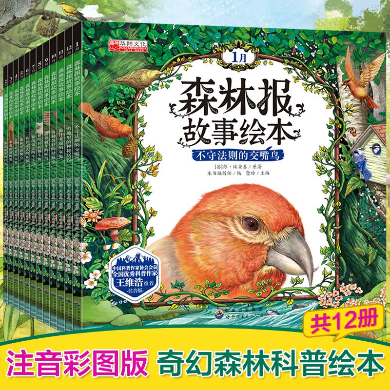 森林报故事绘本 全12册 彩图注音版 3-12岁儿童绘本故事书 森林报 小学生课外阅读书籍