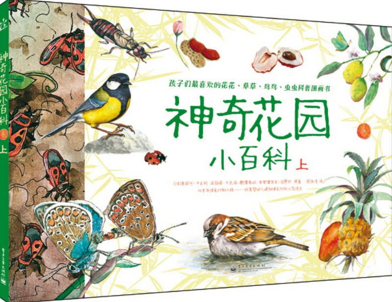 神奇花园小百科 上（全彩）