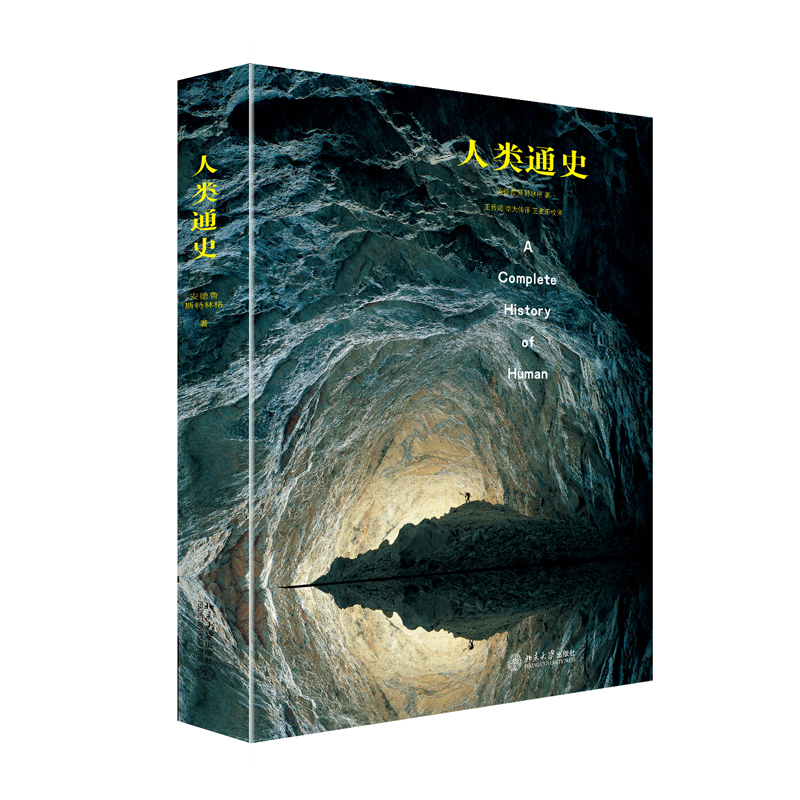人类通史（彩色插图版）世界人类学界权威[英]克里斯 斯特林格 彼得 安德鲁 著