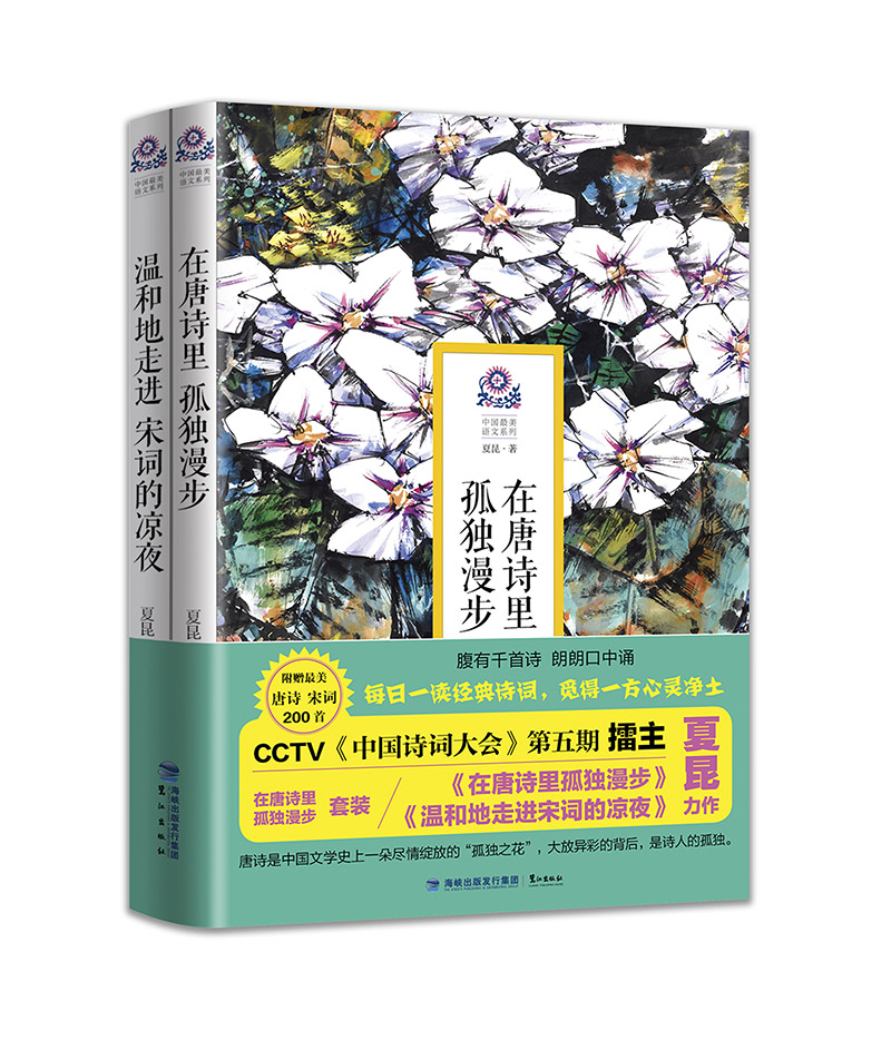 在唐诗里孤独漫步（套装共2册）