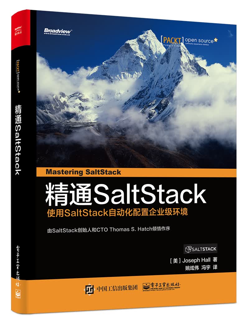 精通SaltStack(博文视点出品)