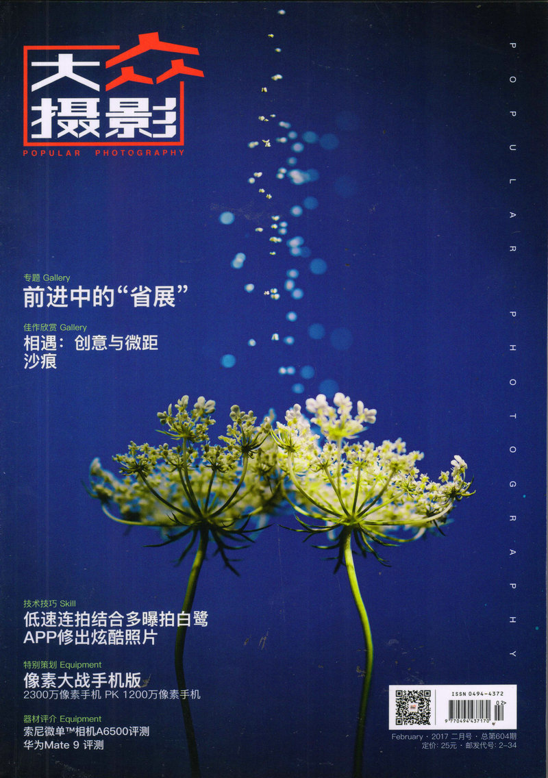 大众摄影（2017年2月号）