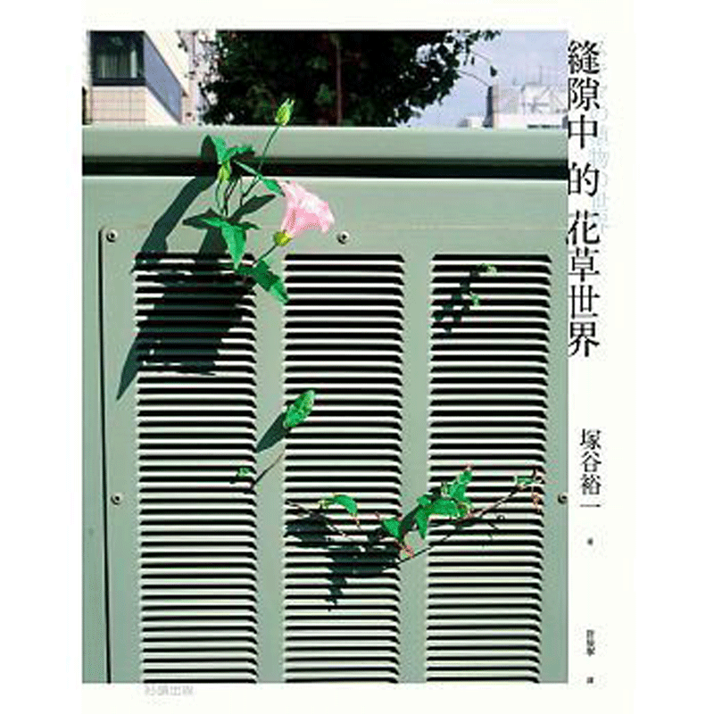 縫隙中的花草世界港台原版图书书籍善本图书