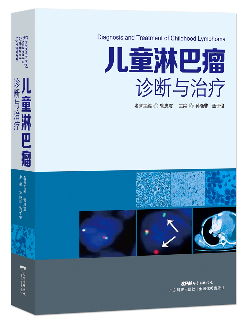 ~~淋巴瘤诊断与治疗9787535965356
