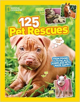 125 Pet Rescues From Pound to Palace: Homeless