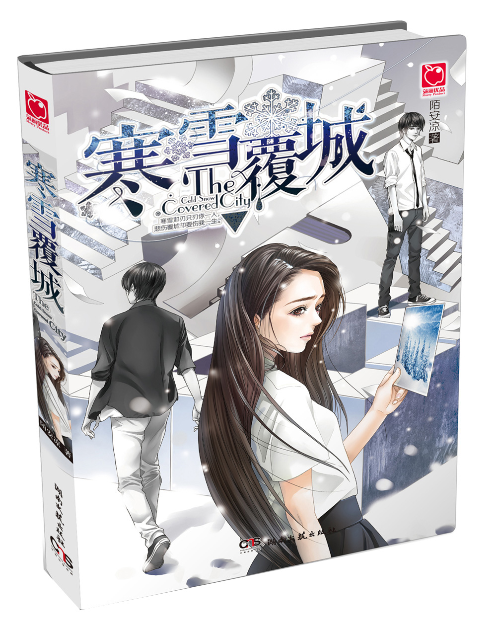 寒雪覆城
