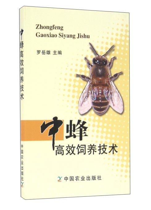 中蜂高效饲养技术