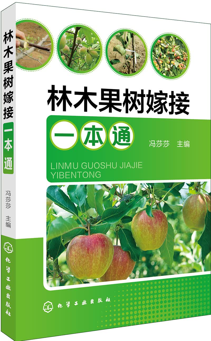 林木果树嫁接一本通（插图丰富，畅销）