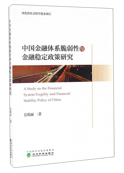 中国金融体系脆弱性与金融稳定政策研究