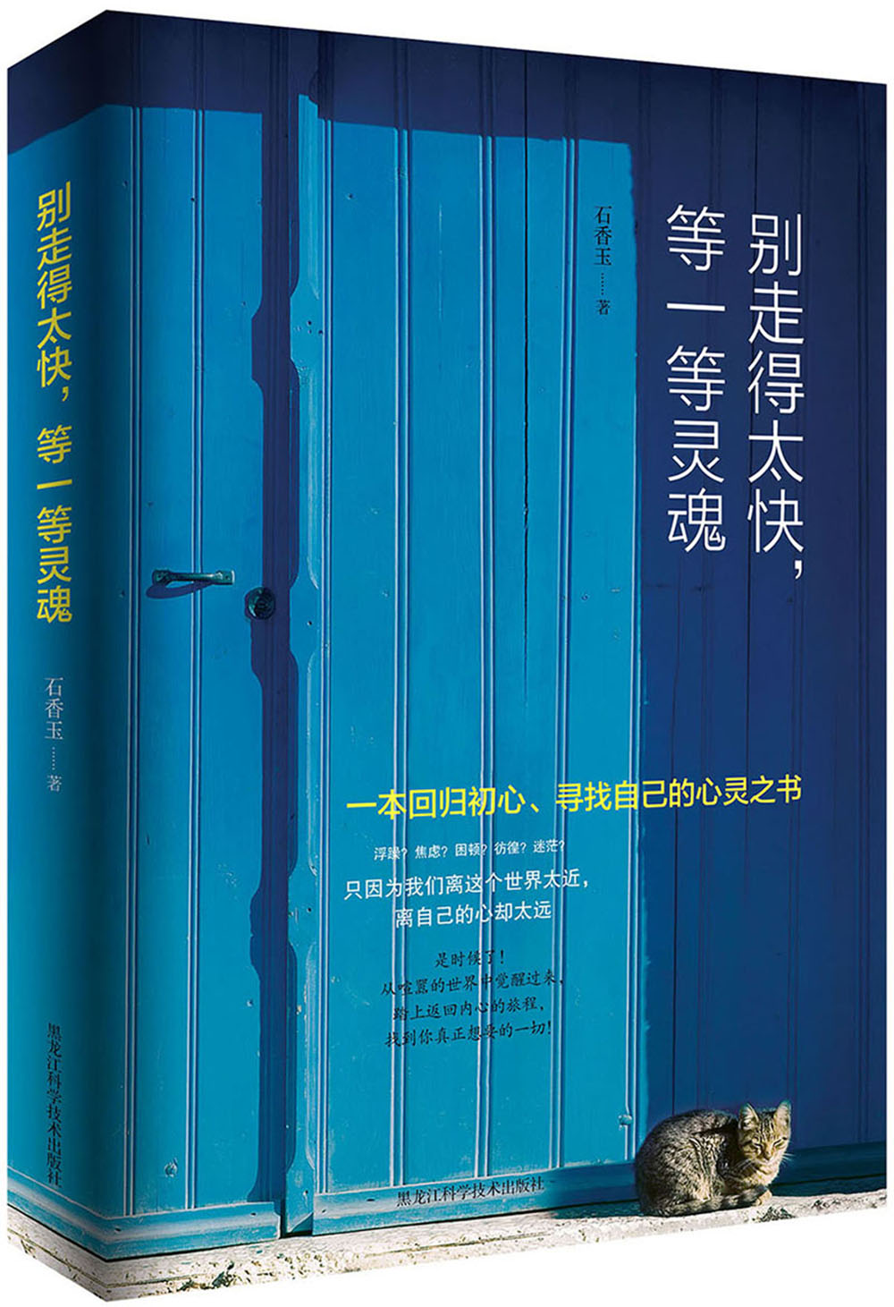 别走得太快，等一等灵魂