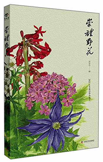 崇礼野花