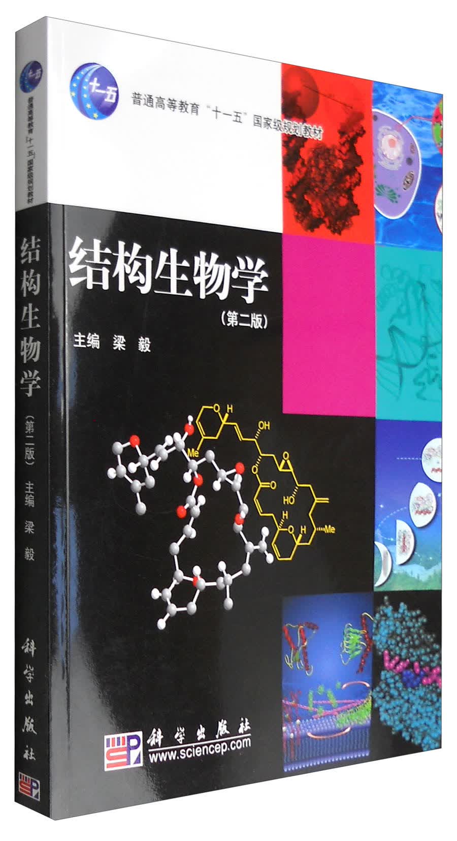 结构生物学（第二版）