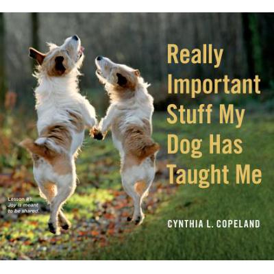 Really Important Stuff My Dog Has Taught Me:...