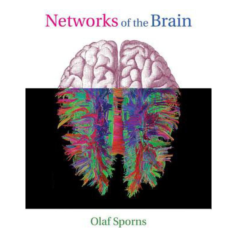 Networks of the Brain