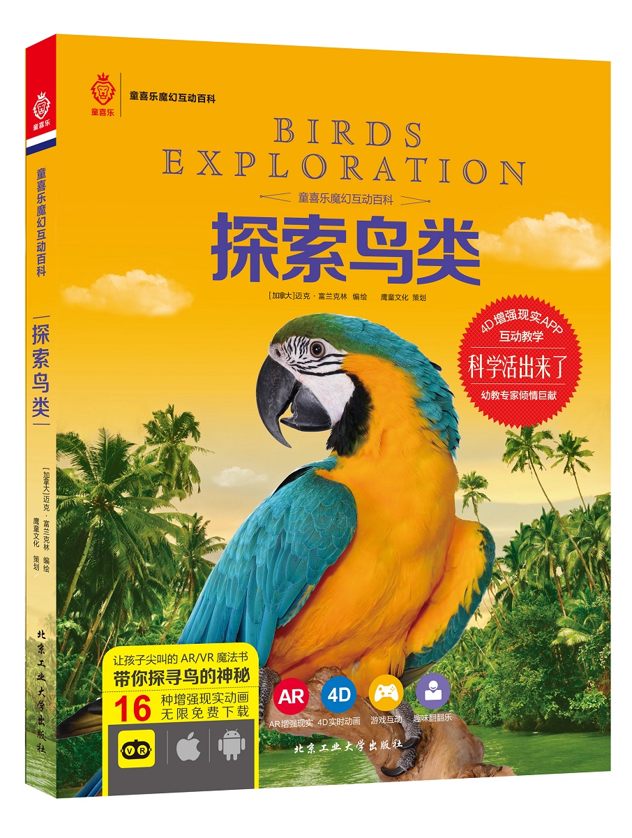 探索鸟类