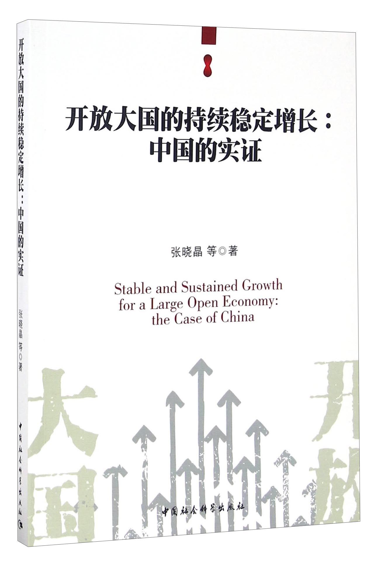 开放大国的持续稳定增长：中国的实证
