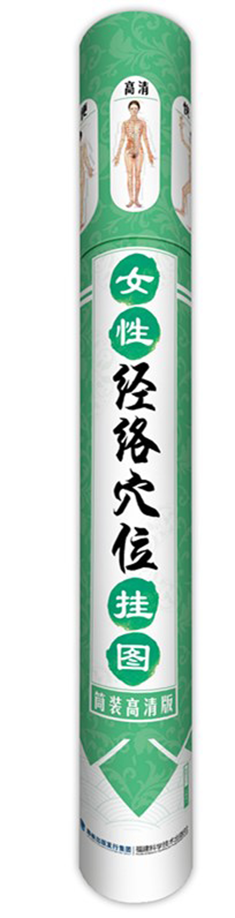 女性经络穴位挂图（筒装高清版）