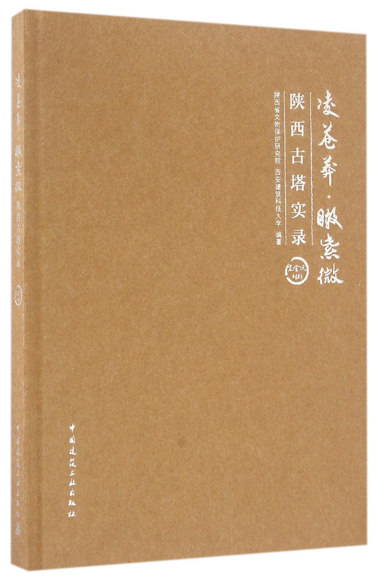 凌苍莽·瞰紫微 陕西古塔实录（宋金元时期）