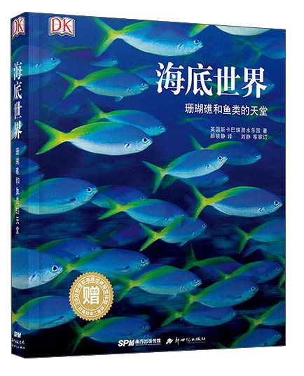 海底世界 珊瑚礁和鱼类的天堂