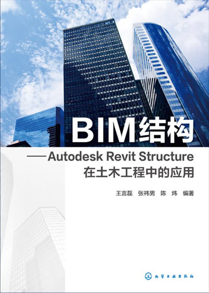 BIM结构：Autodesk Revit Structure在土木工程中的应用《现货速发》