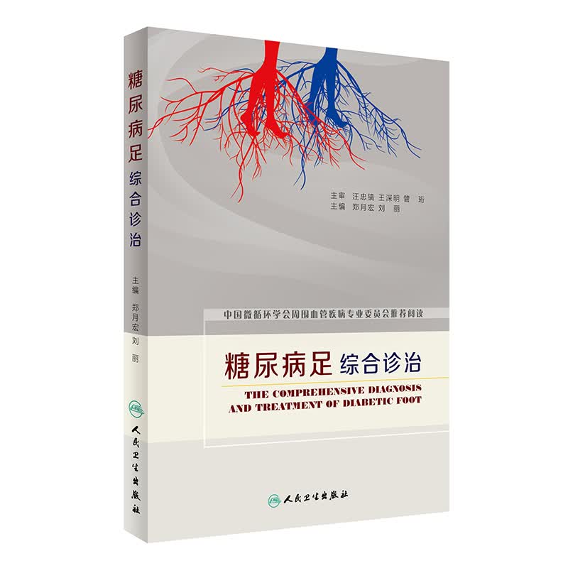 现货 糖尿病足综合诊治 郑月宏,刘丽主编 人民卫生出版社