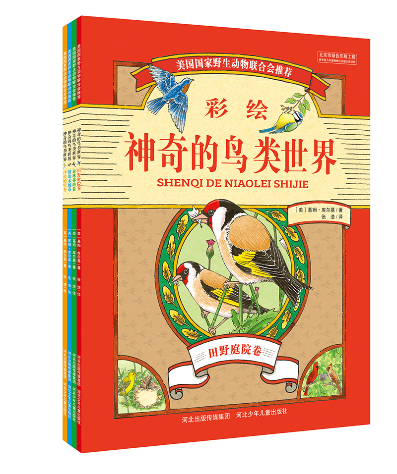 神奇的鸟类世界（套装共4册）