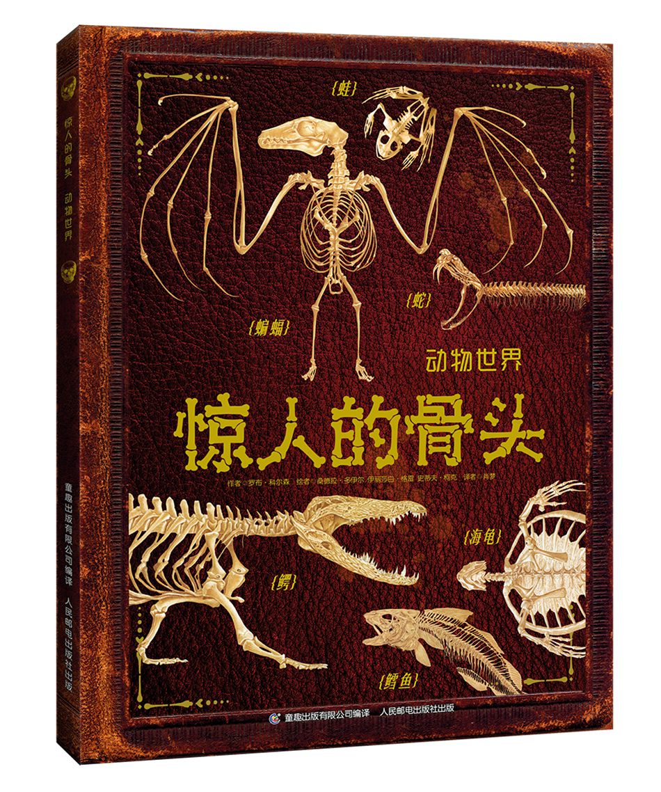 惊人的骨头 动物世界