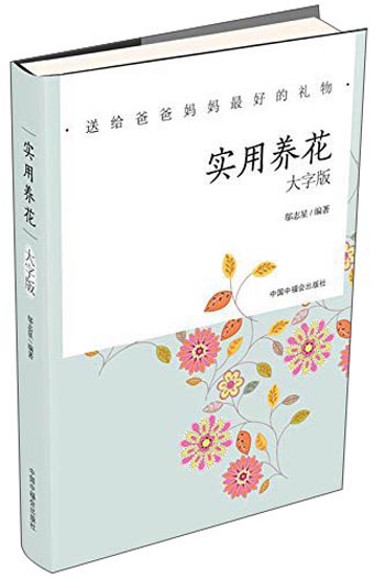 送给爸爸妈妈最好的礼物 实用养花