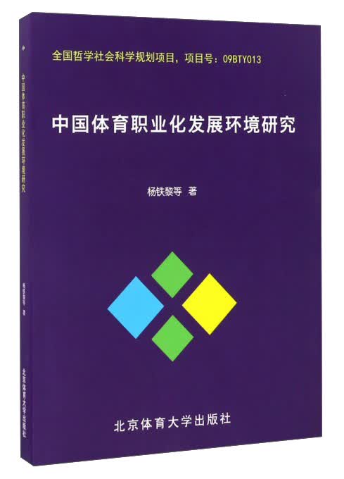 中国体育职业化发展环境研究