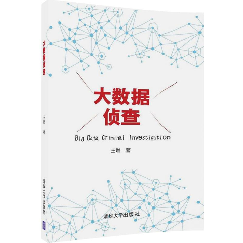 大数据侦查 网络法律法规类书籍 大数据侦查
