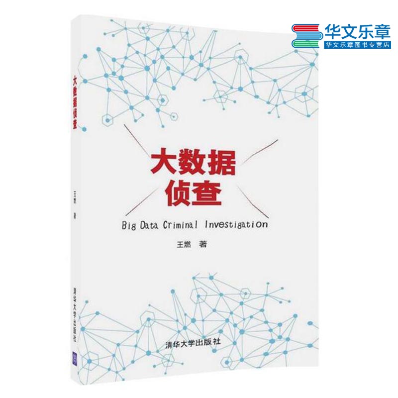 大数据侦查 王燃 著 “大数据王”的个人专著 大数据侦查技术方法教程书籍 大数据