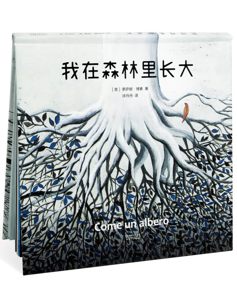 我在森林里长大