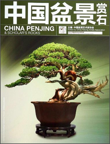 中国盆景赏石：2013中国盆景活动回顾专辑