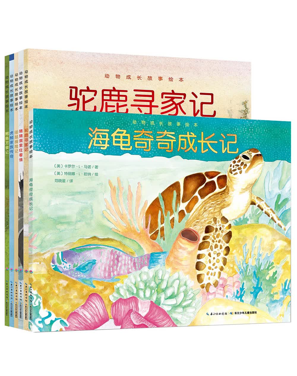 动物成长故事绘本（套装全6册）