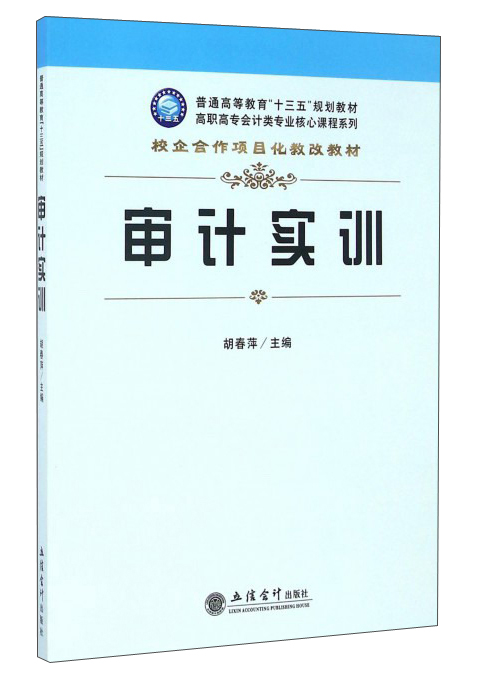 审计实训/高职高专会计类专业核心课程系列