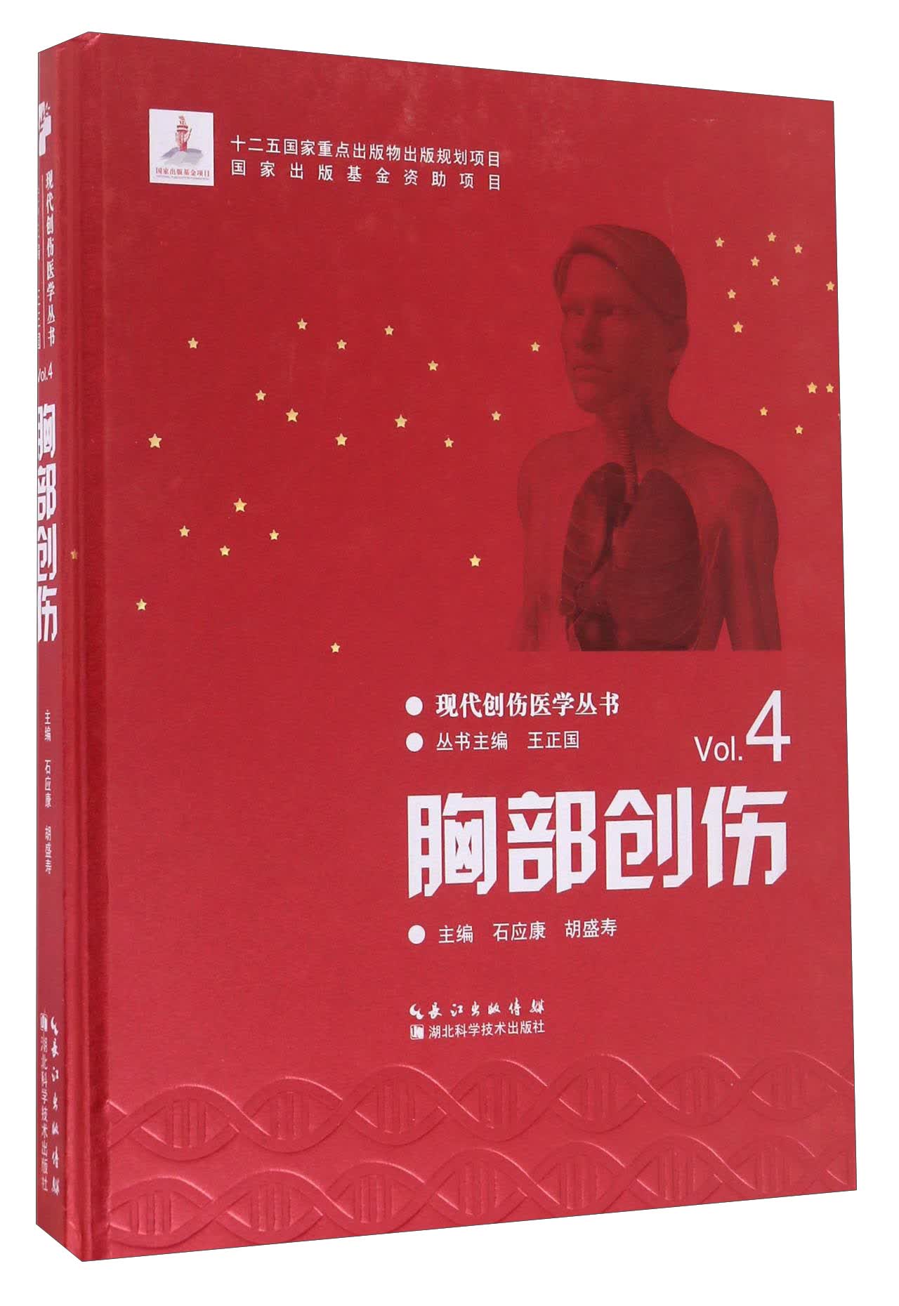 胸部创伤/现代创伤医学丛书