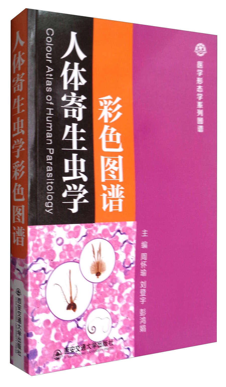 人体寄生虫学彩色图谱