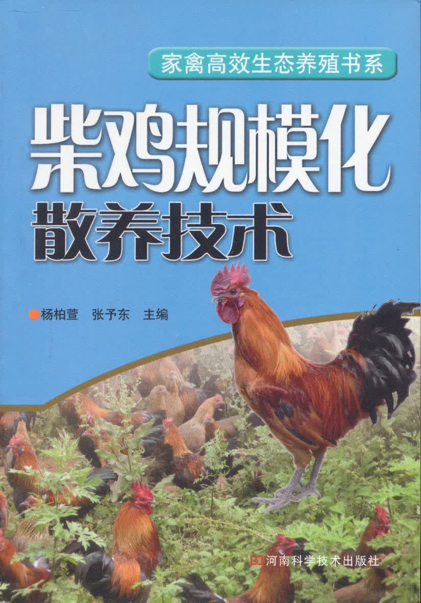 柴鸡规模化散养技术