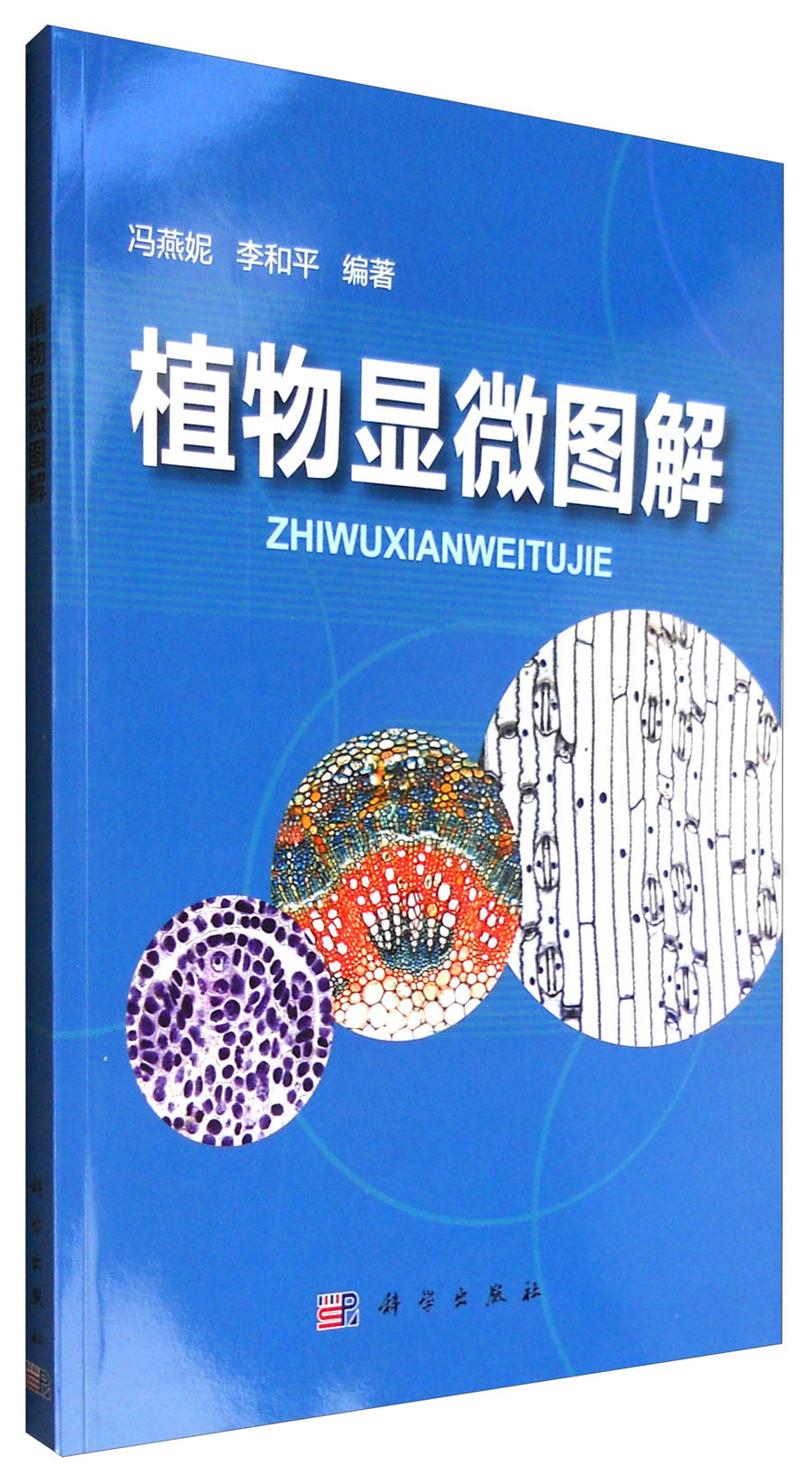 植物显微图解