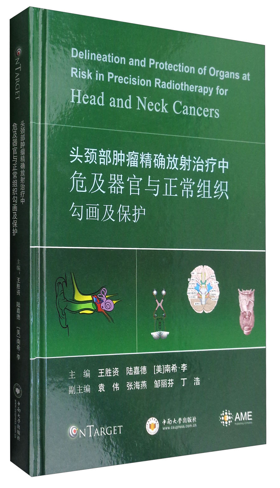 头颈部肿瘤精确放射治疗中危及器官与正常组织勾画及保护
