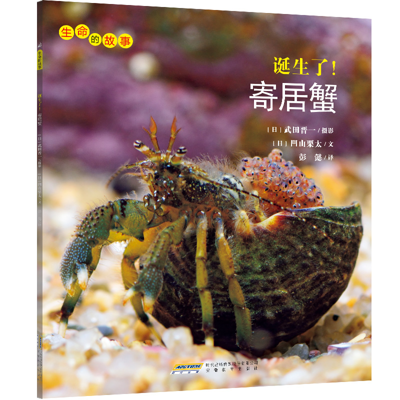 生命的故事：诞生了！寄居蟹