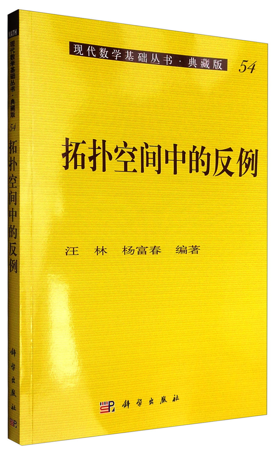 现代数学基础丛书·典藏版54：拓扑空间中的反例