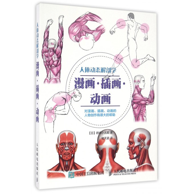 人体动态解剖学(漫画插画动画)