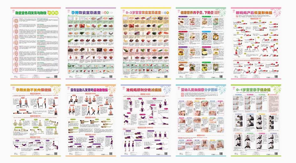 好孕道挂图（10张）