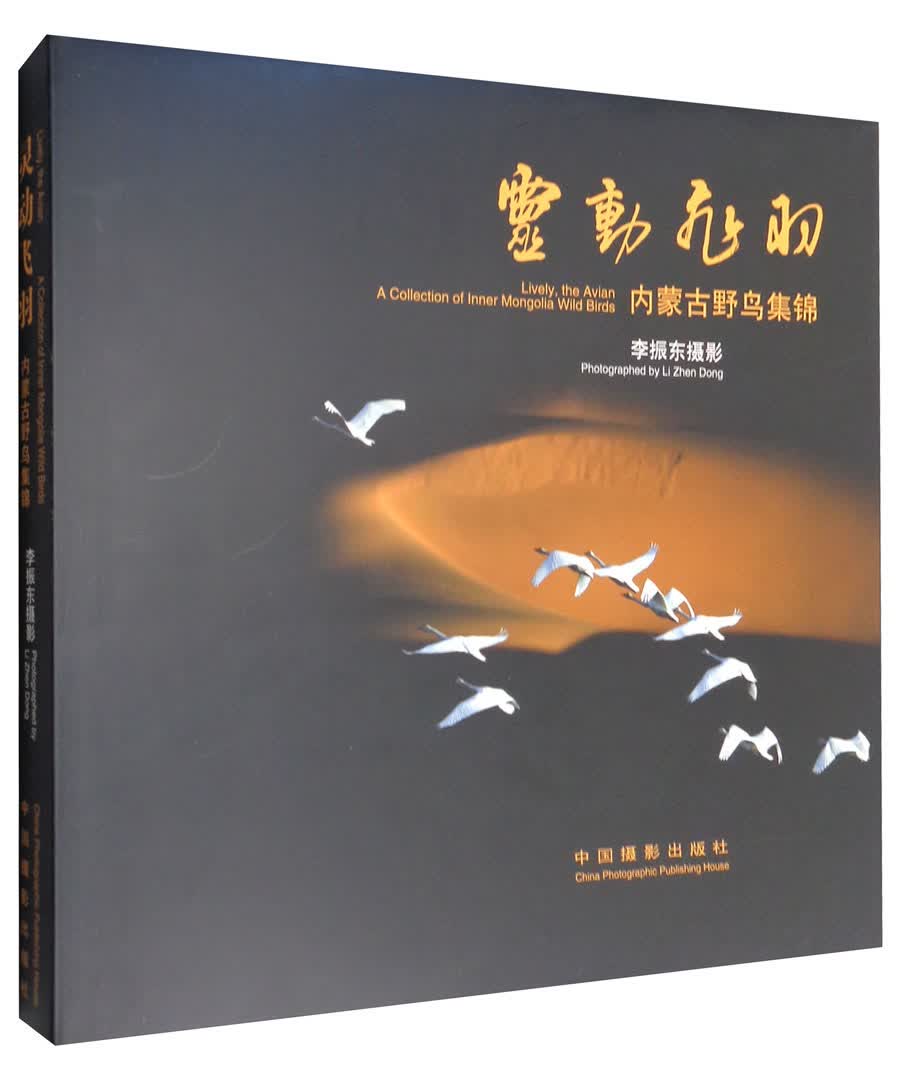 灵动飞羽：内蒙古野鸟集锦