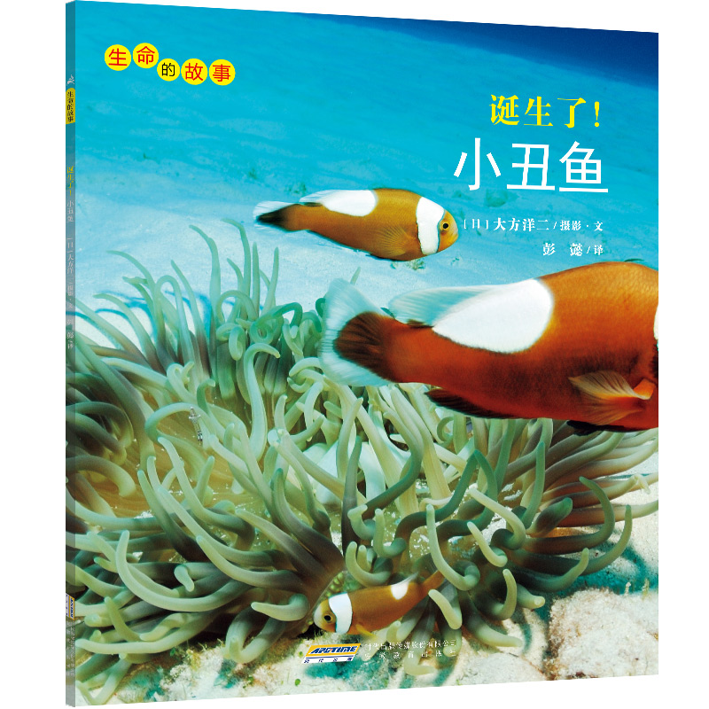 生命的故事：诞生了！小丑鱼