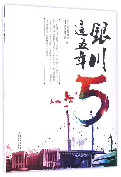 银川这五年