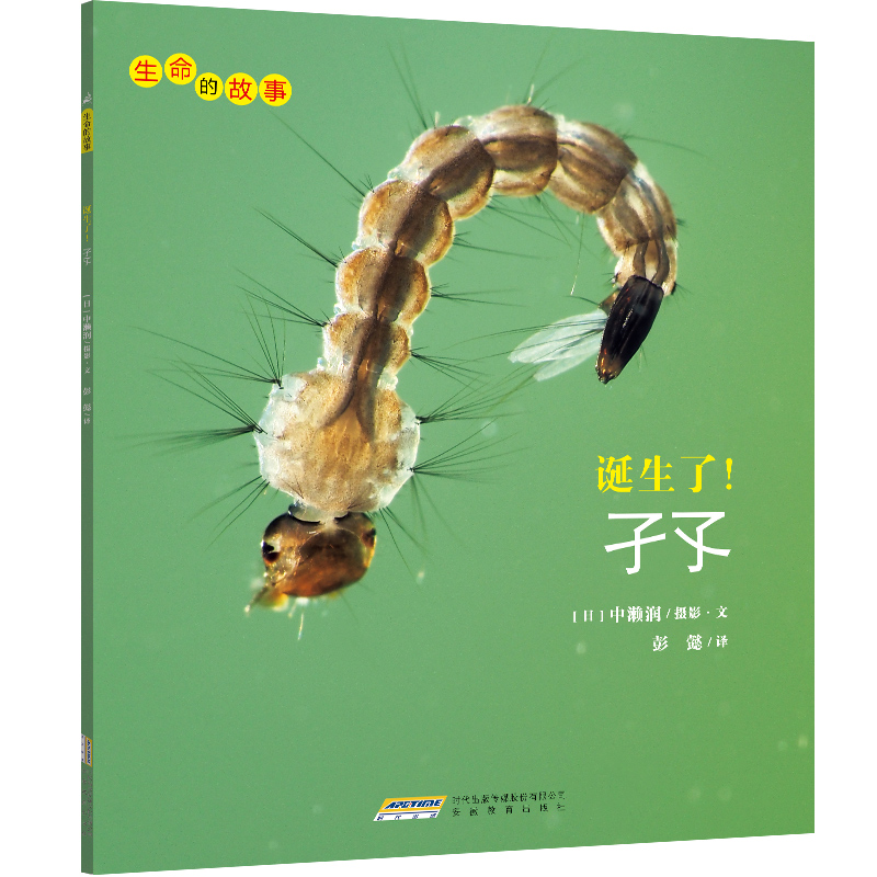 生命的故事：诞生了！孑孓