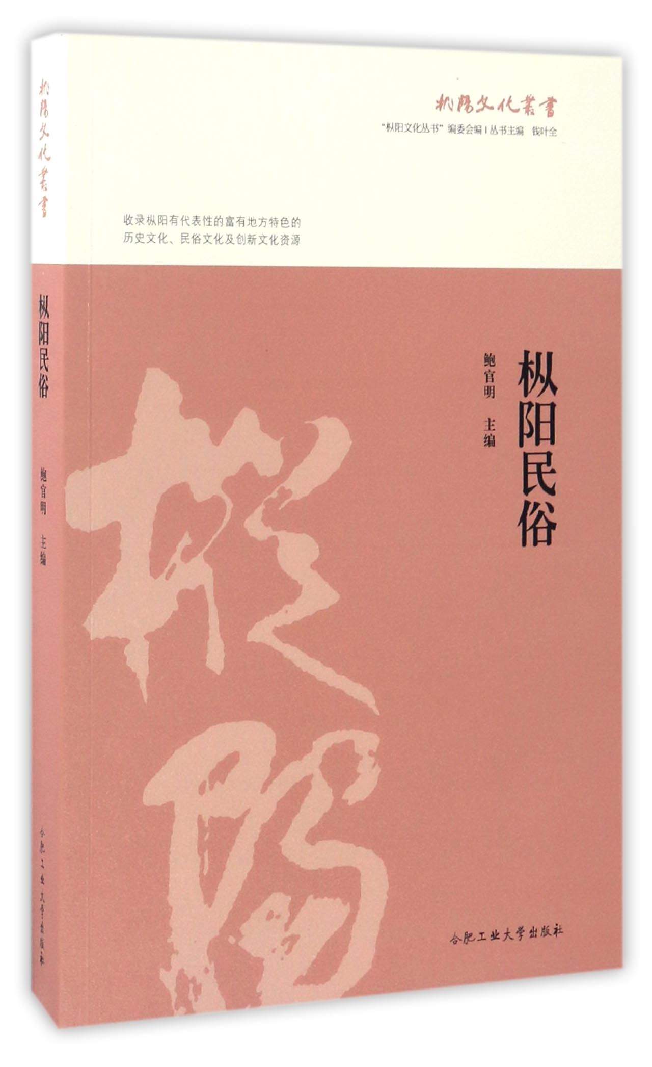枞阳民俗/枞阳文化丛书