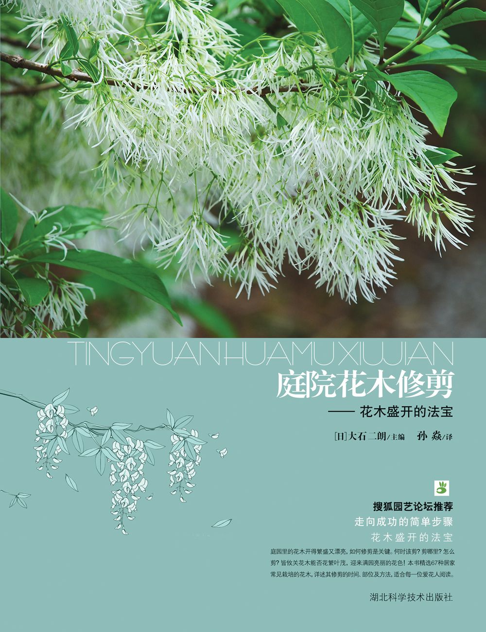 庭院花木修剪：花木盛开的法宝
